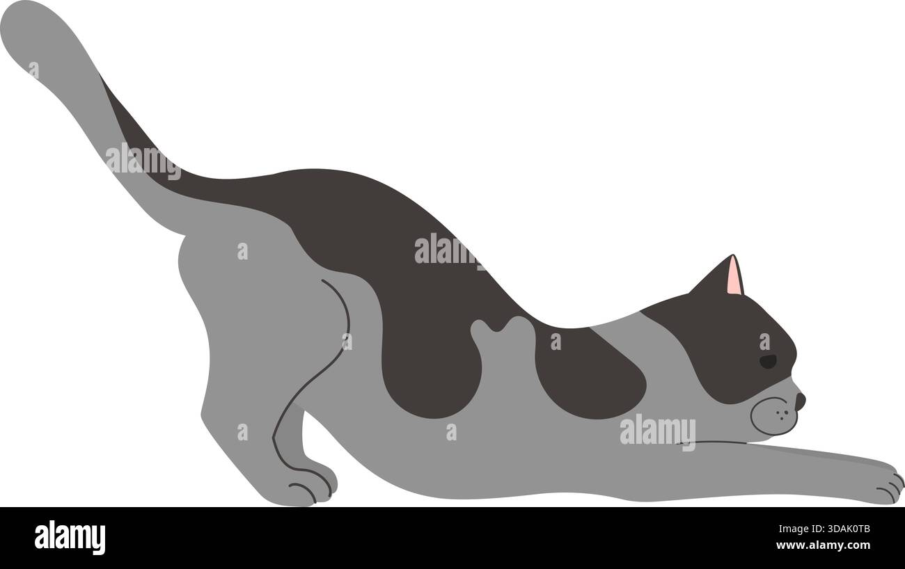 Grey cat illustration Stock Vector Images - Alamy