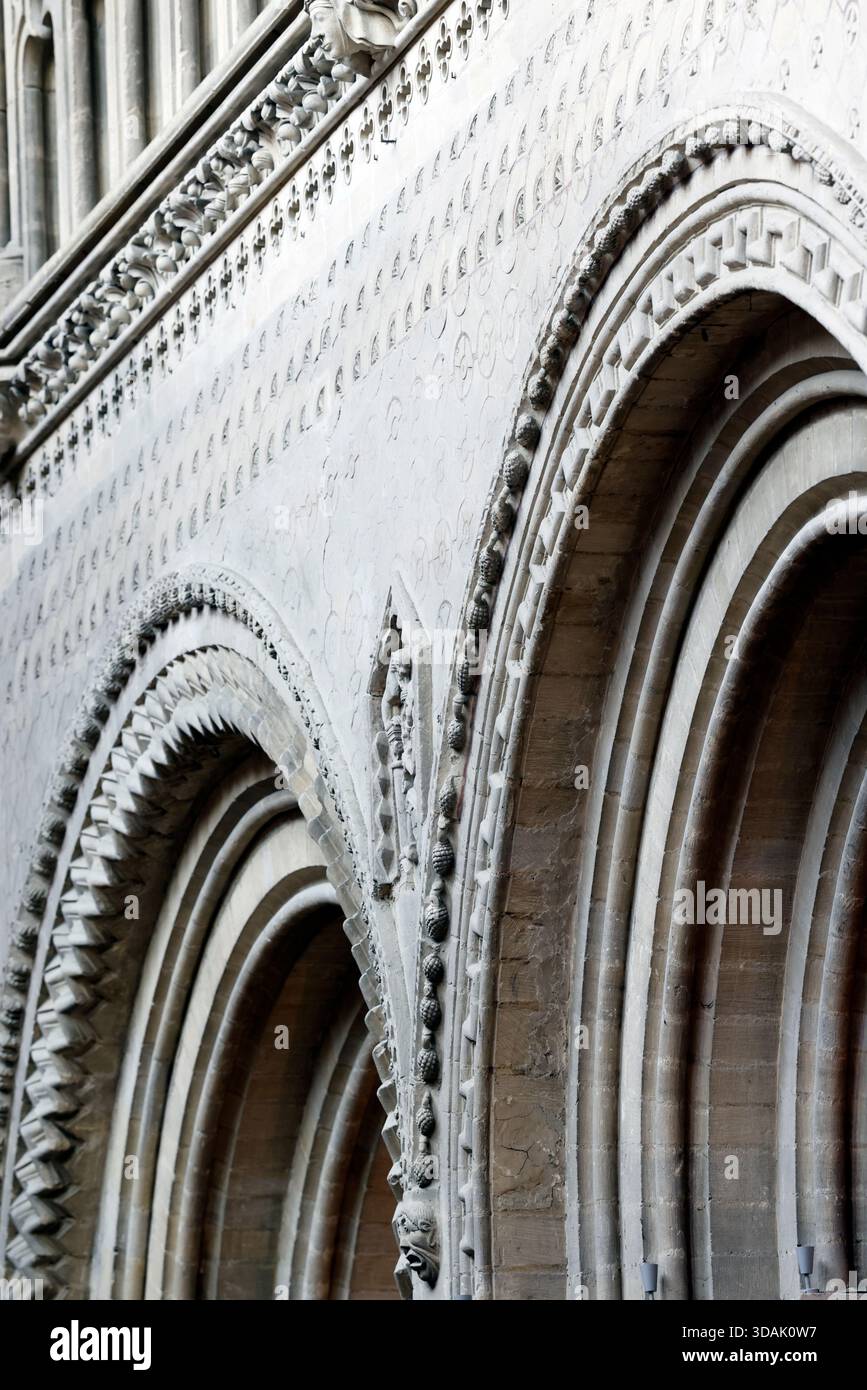 Gothic ribbed vaults of the nave in Bayeux Cathedral, showcasing the ...
