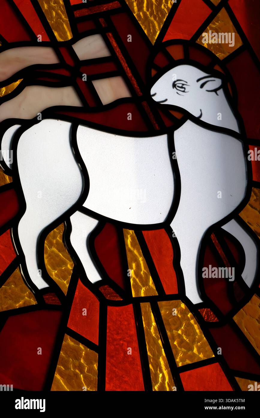 An Hoi catholic church. Stained glass. Agnus Dei. A lamb holding a ...