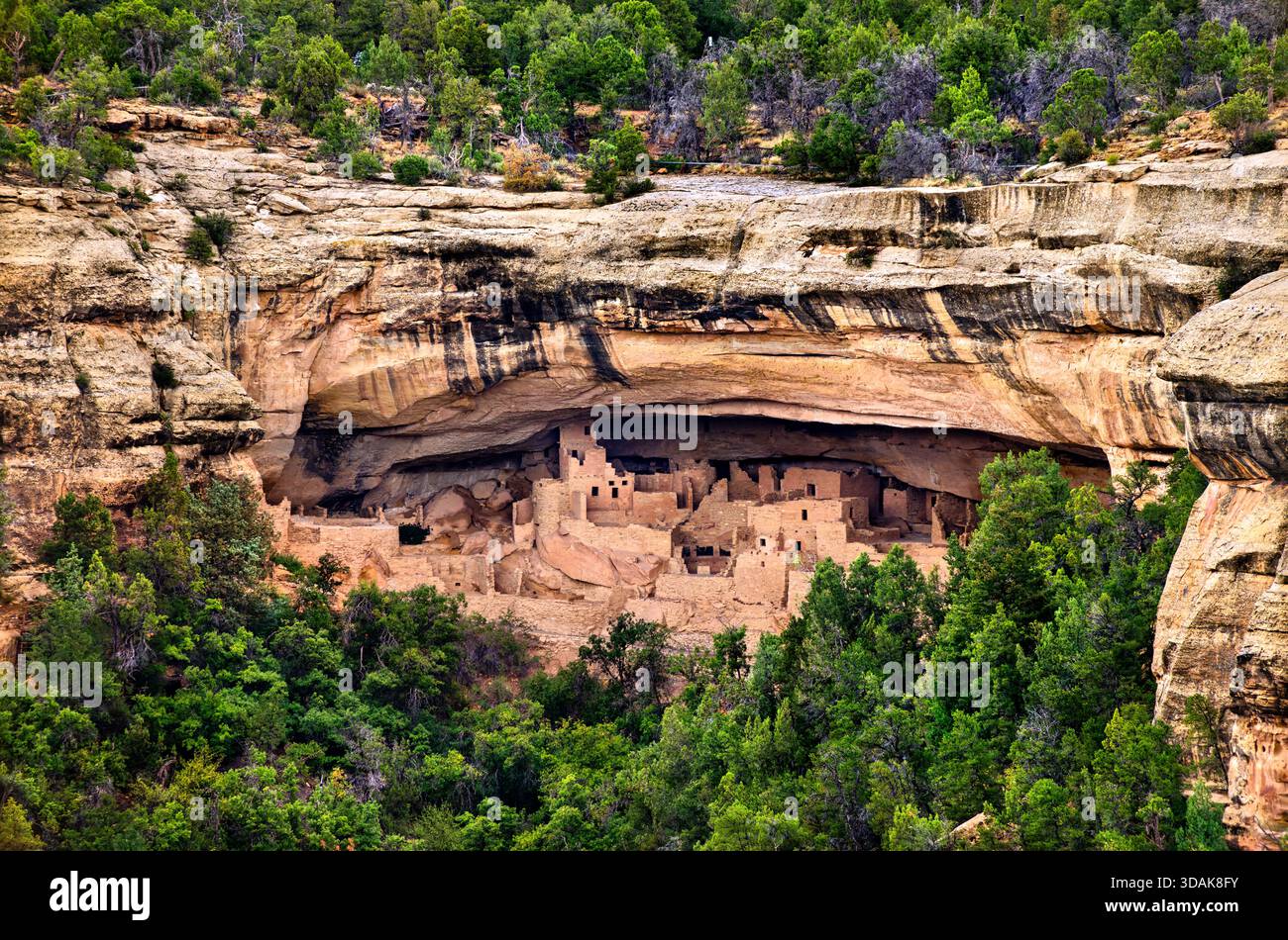 Cliff Palace ruins sit under massive rock overhang in Mesa Verde ...