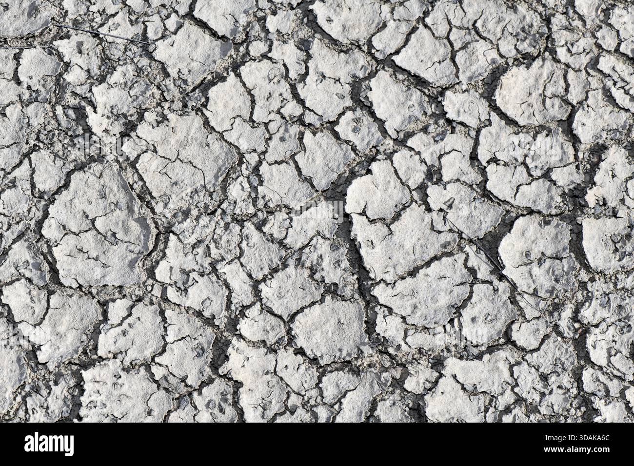 Top-down view of dry, cracked earth texture during a drought, showing ...
