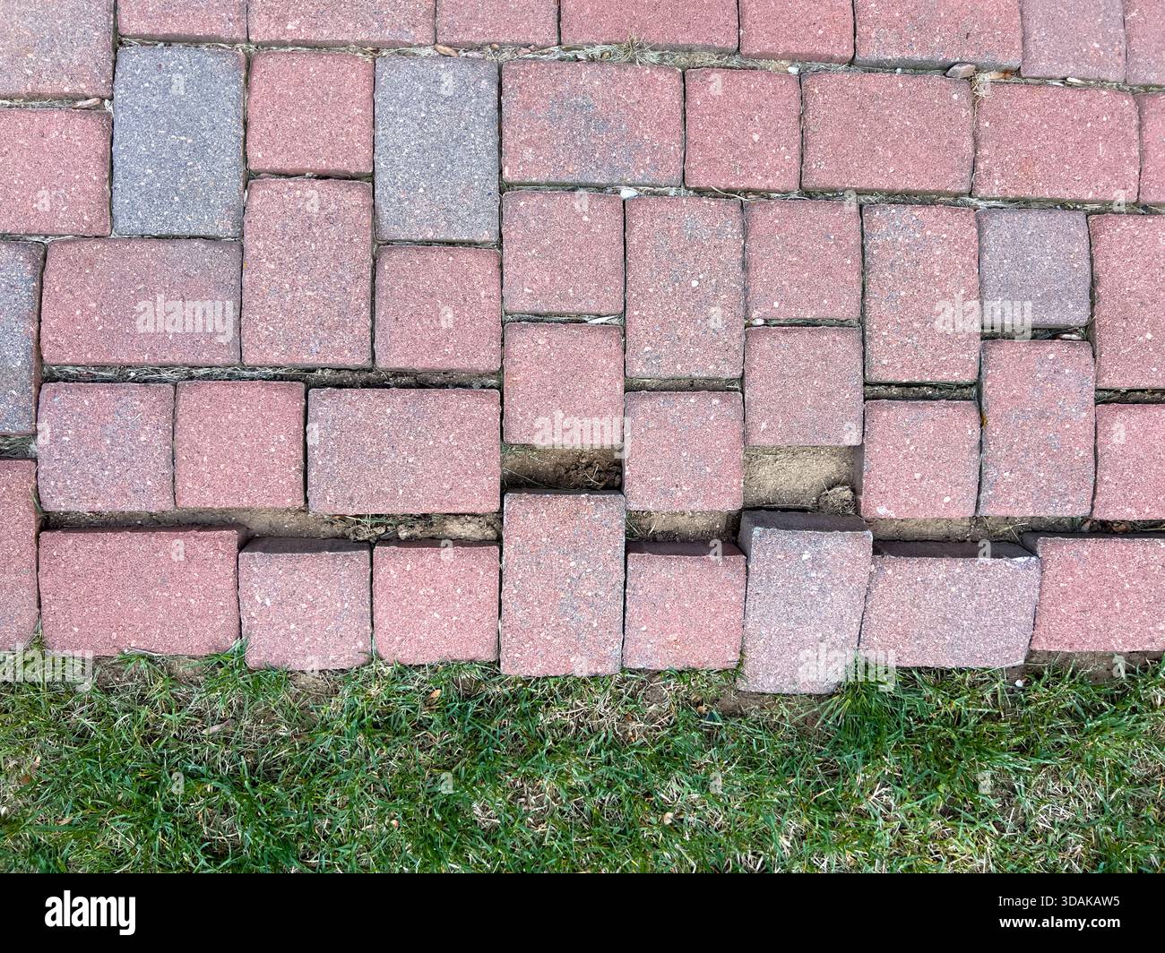 Misaligned paver blocks on grass edge Stock Photo - Alamy