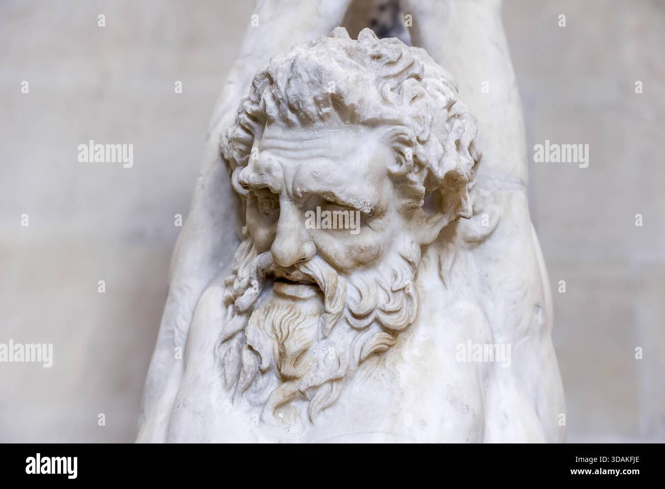 Louvre museum, Paris, France. The Silenus Marsyas hanging from a pine ...