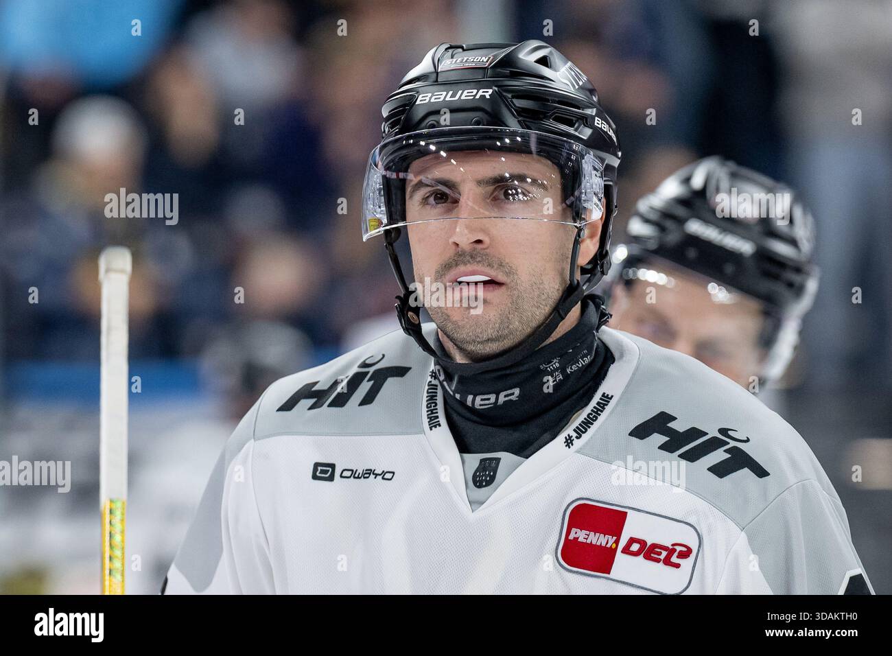 Maximilian Kammerer (Cologne Sharks, #9) / Portrait / Portrait GER, EHC ...