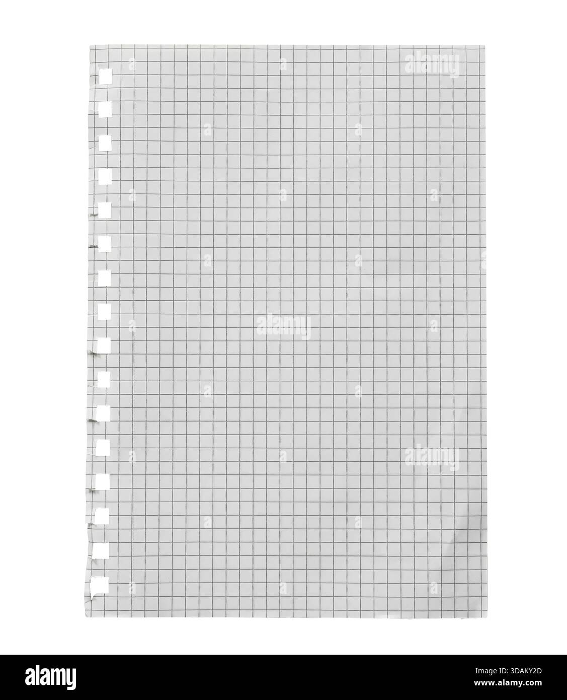 Ripped perforated edge blank note paper mockup. Torn-out checkered ...