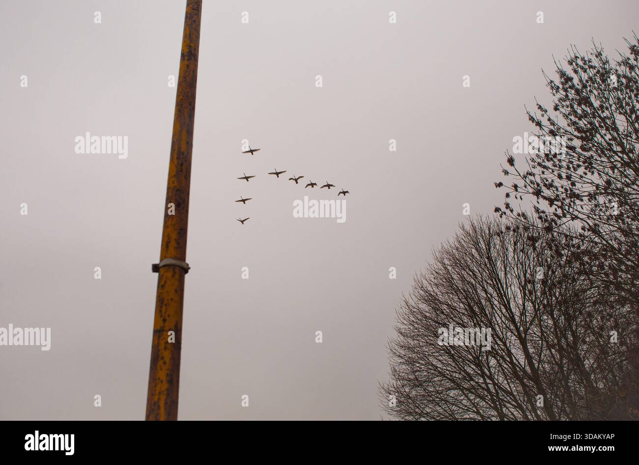 Minimalist line drawing flying hi-res stock photography and images - Alamy