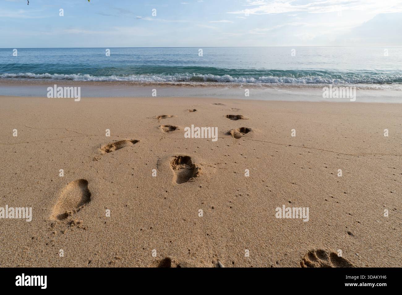 Low-angle shot captures multiple deep footprints in warm golden beach ...