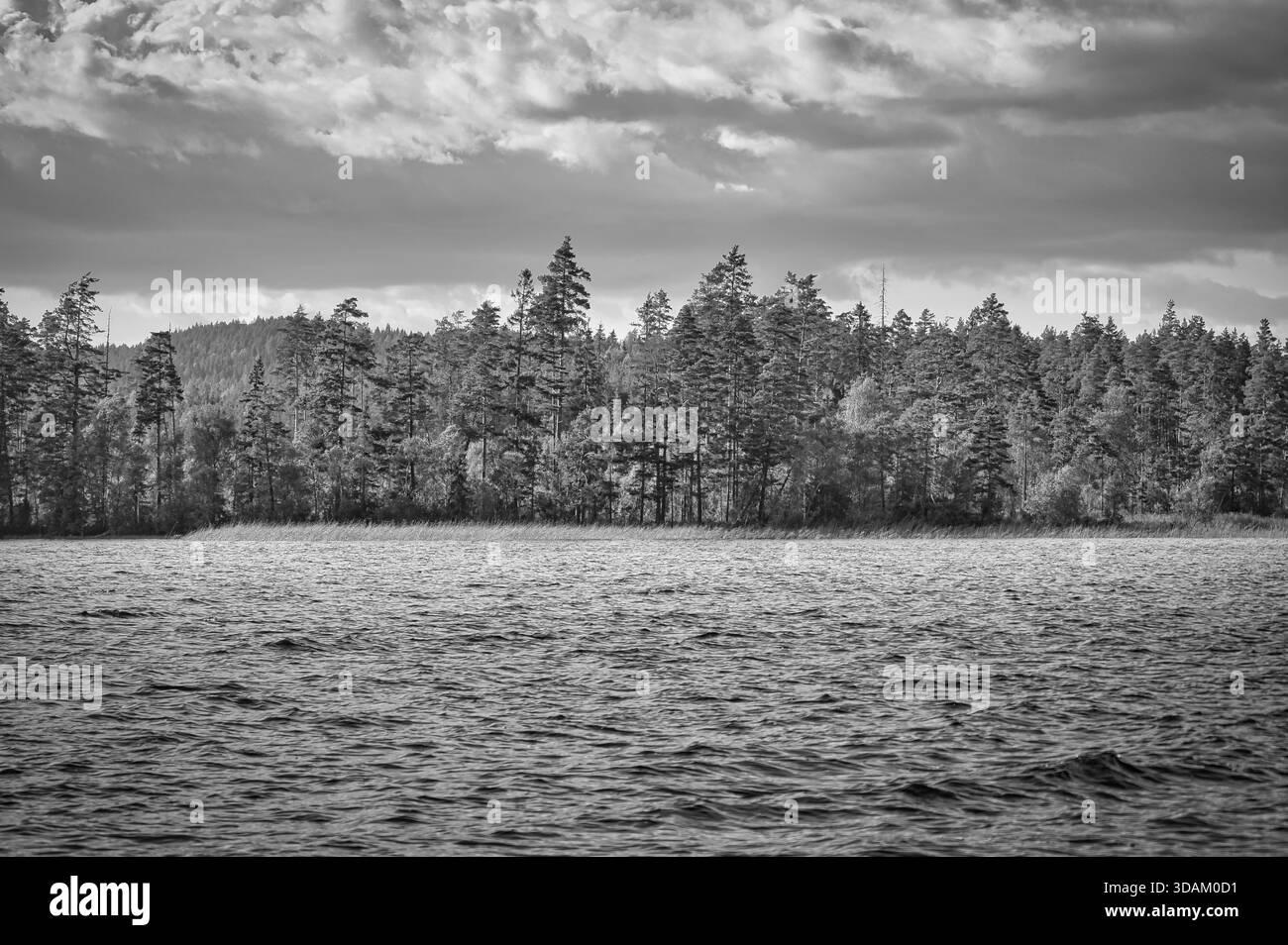 Sunny day in untouched Black and White Stock Photos & Images - Alamy