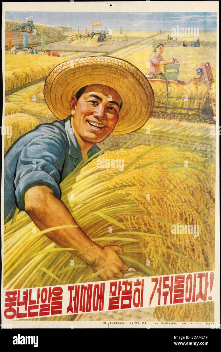 North korea wheat hi-res stock photography and images - Alamy