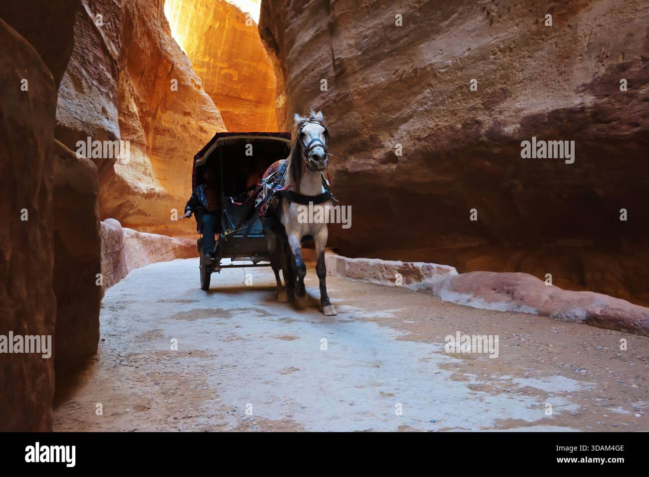Horse carriage in a gorge, Siq canyon in Petra, Jordan. Petra is one of ...