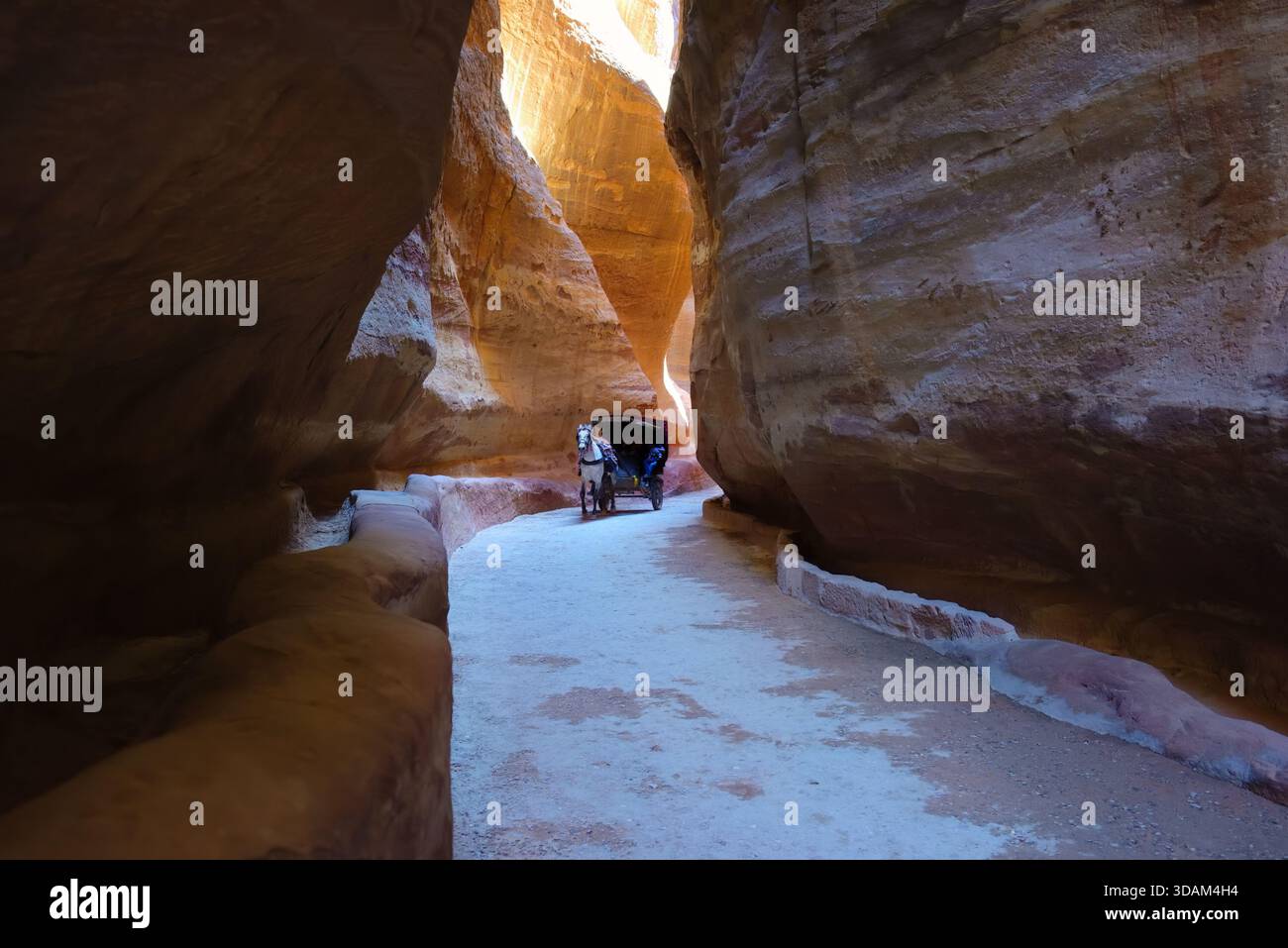 Horse carriage in a gorge, Siq canyon in Petra, Jordan. Petra is one of ...