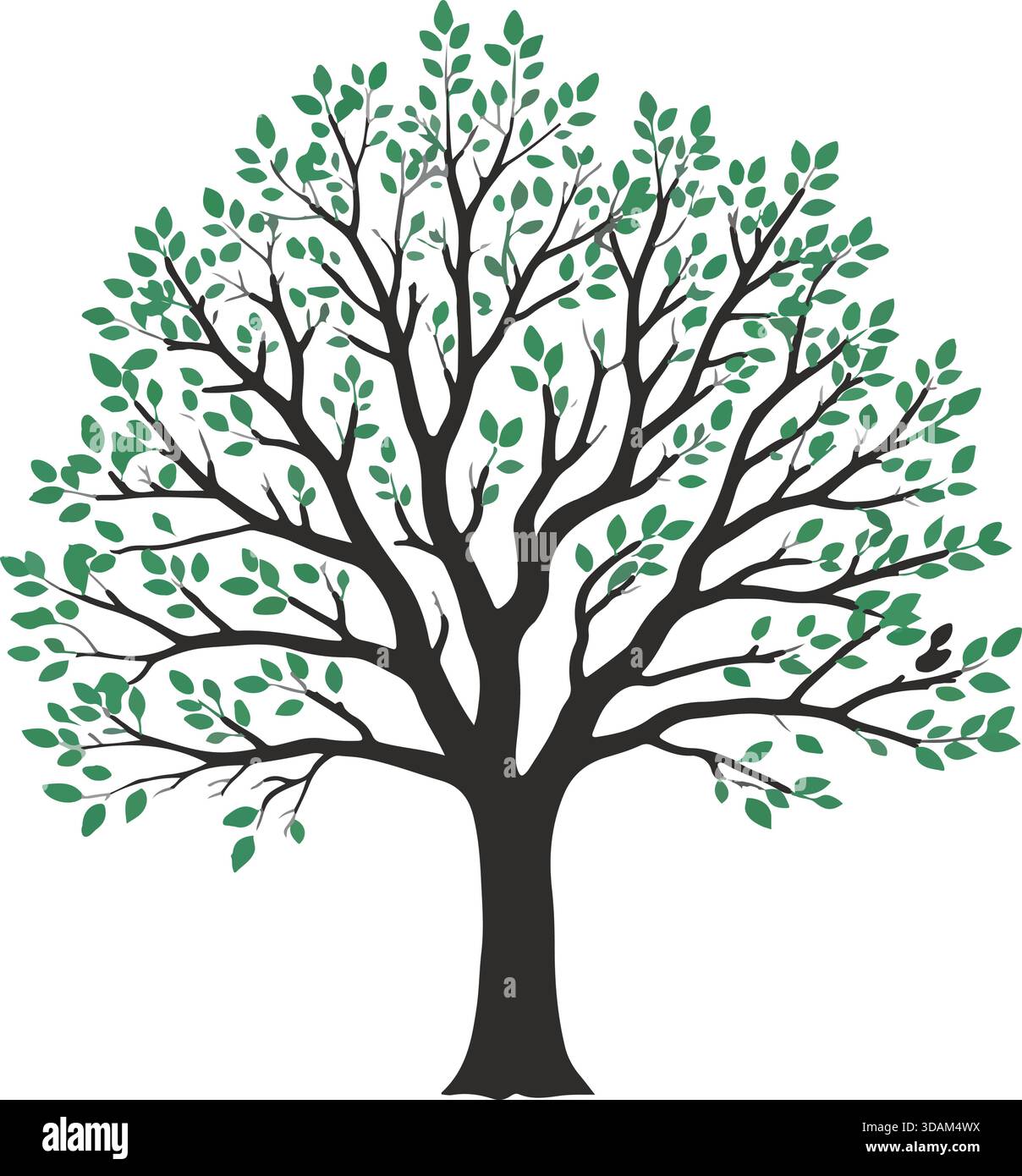 Symmetrical garden Stock Vector Images - Alamy