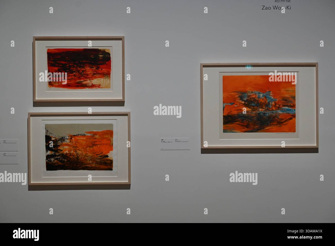 A general view showing the artwork of painter Zao Wou-Ki, display at ...