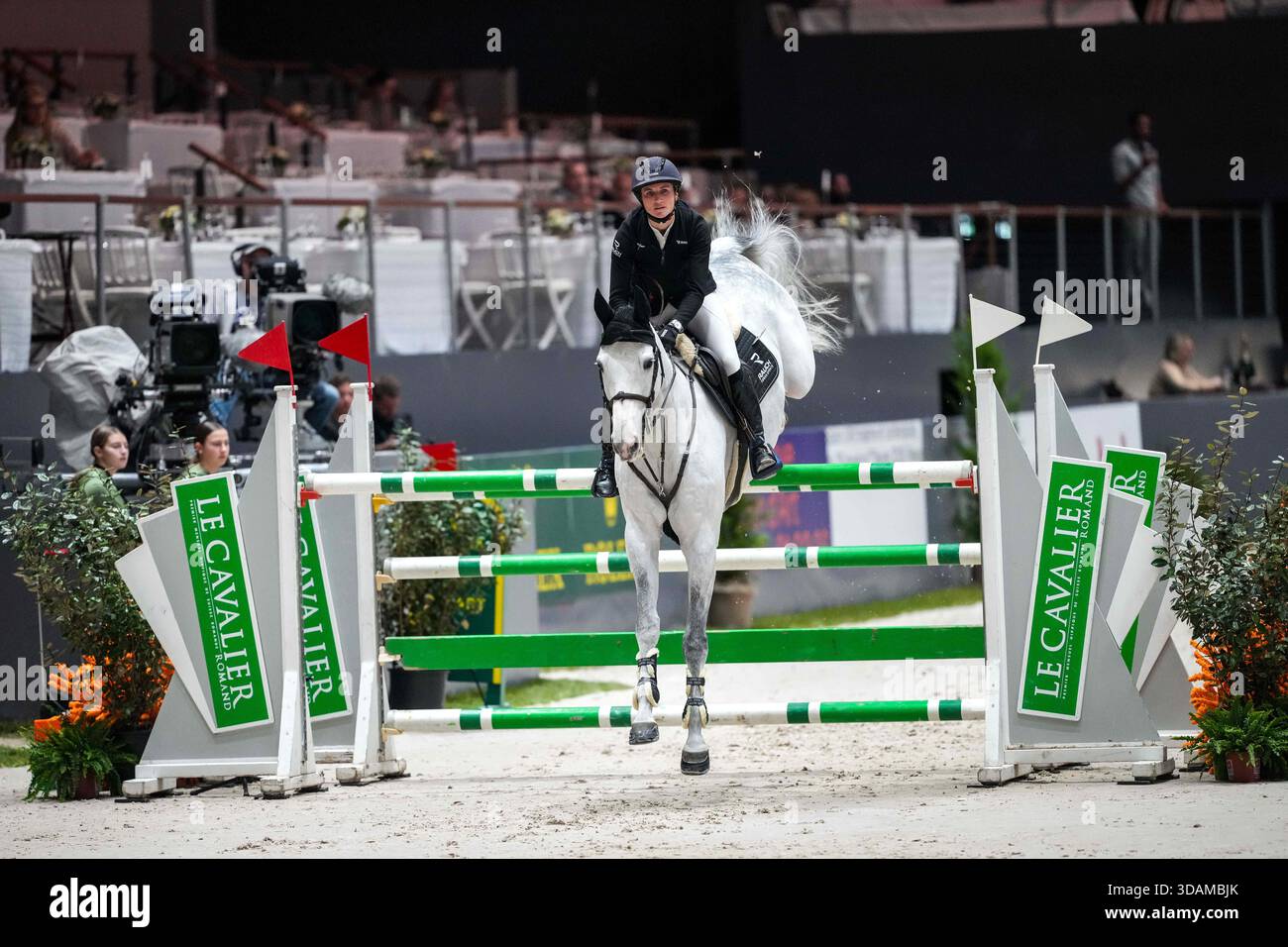 Katharina RHOMBERG (AUT) riding COLESTUS CAMBRIDGE during the Day 2 of ...