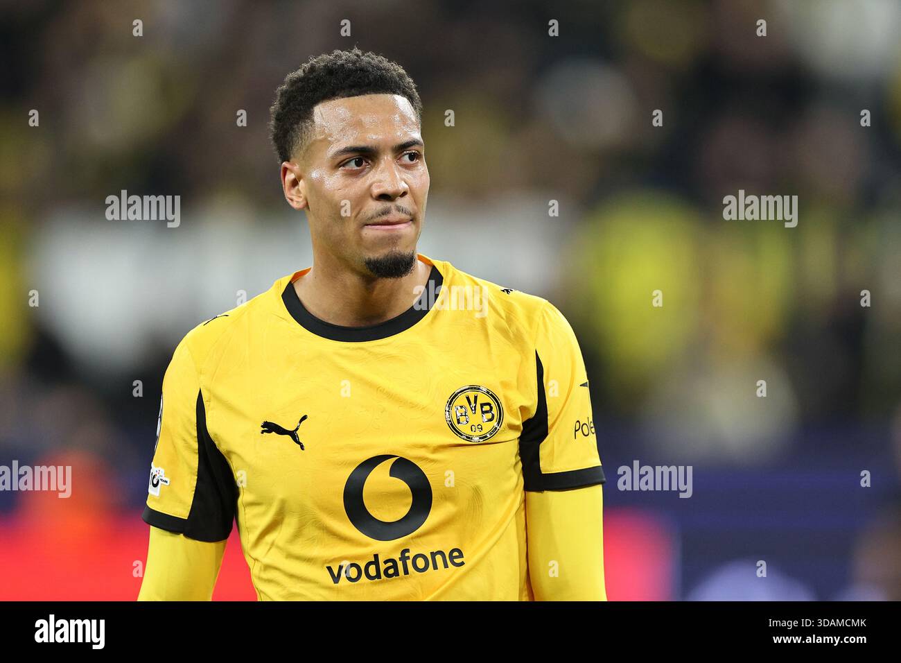 DORTMUND - Felix Nmecha of Borussia Dortmund during the Champions ...