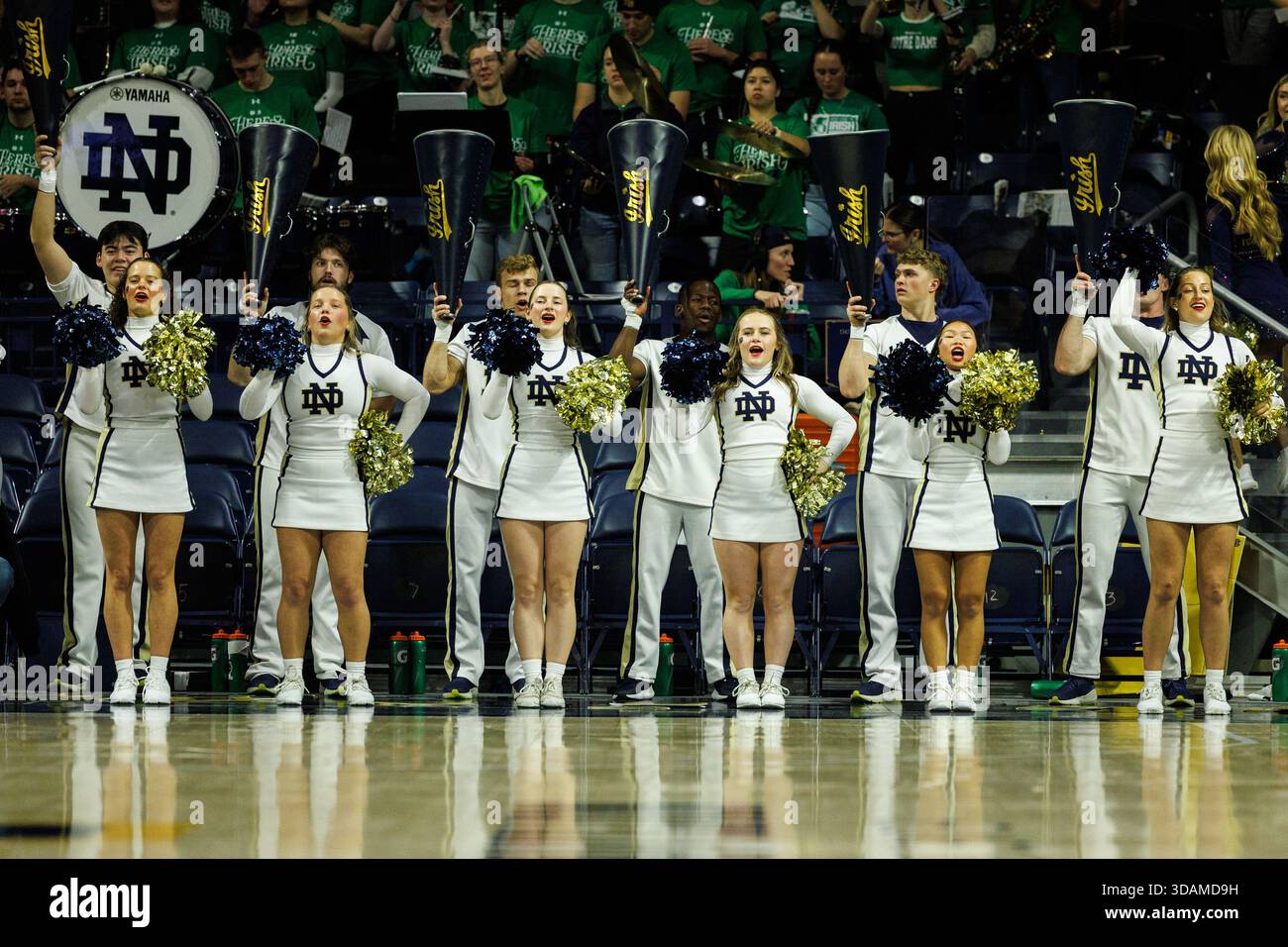 Interesting Info About Notre Dame Cheerleader Costumefeed