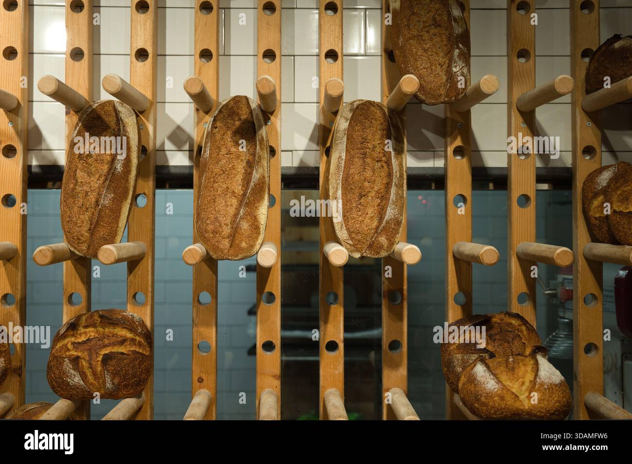 A detailed image showing multiple legs of Prosciutto di Parma hanging ...