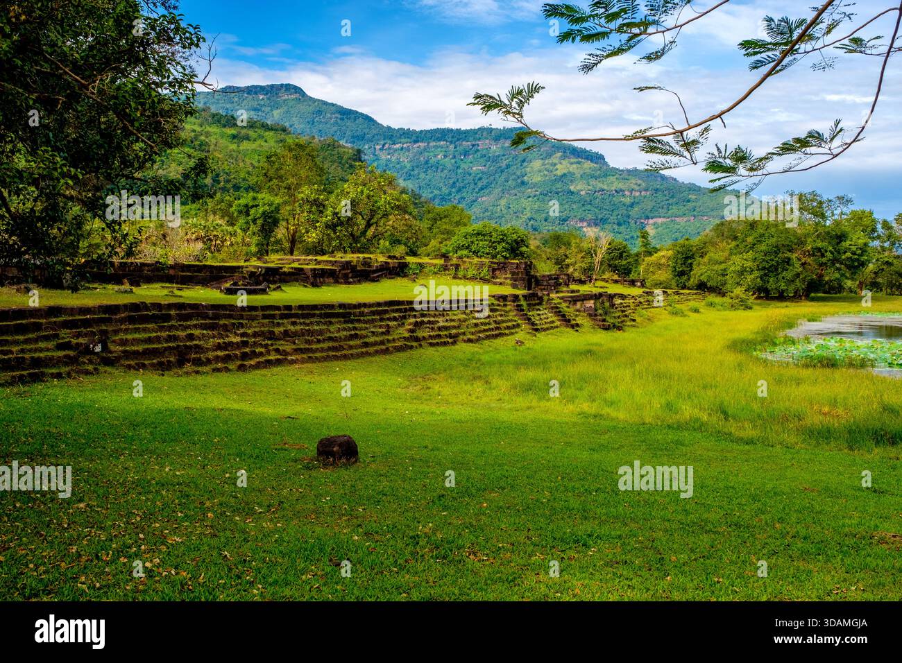 The baray (reservoir) on the approach to the Wat Phou Khmer temple ...