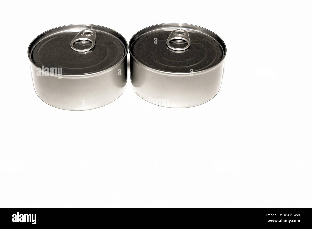 Two cans of fish on white background Stock Photo - Alamy