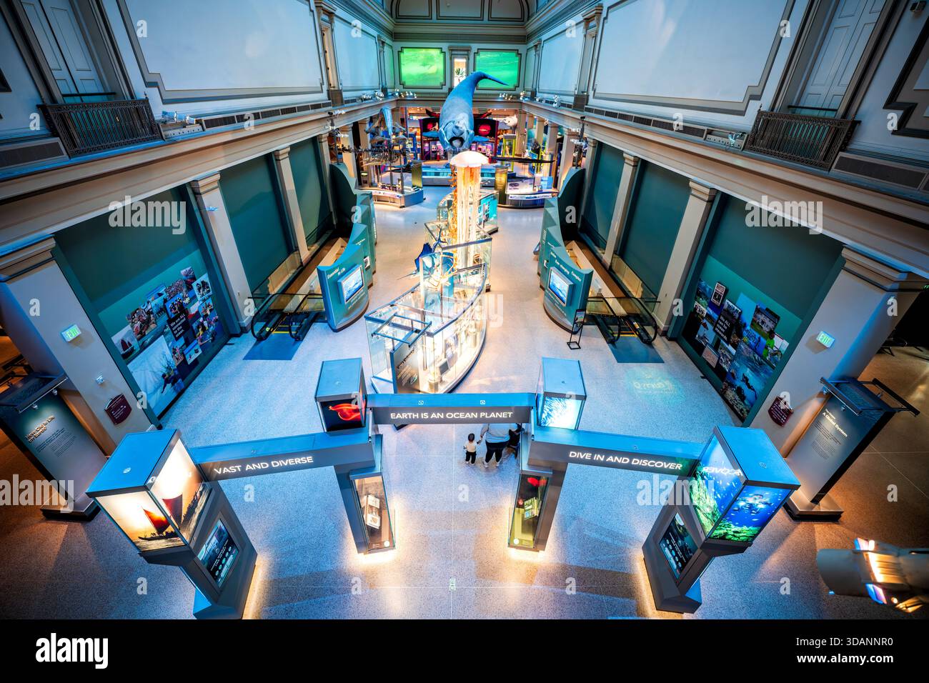 Smithsonian Natural History Museum Sant Ocean Hall Washington DC ...