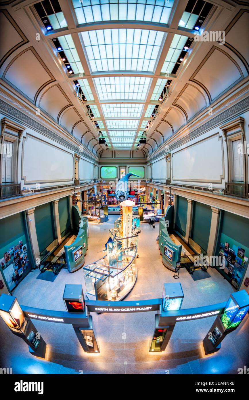 Smithsonian National Museum Of Natural History Sant Ocean Hall ...