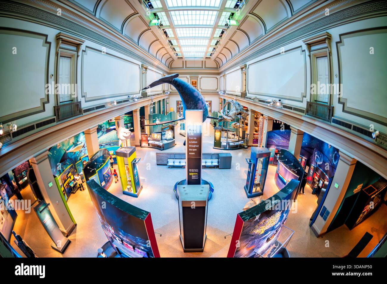 Smithsonian Natural History Museum Sant Ocean Hall Washington DC ...