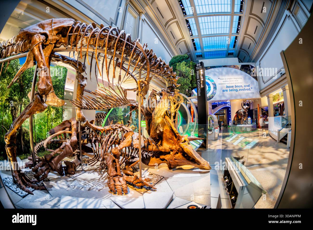 Smithsonian Natural History Museum Tyrannosaurus Rex Fossil Washington ...
