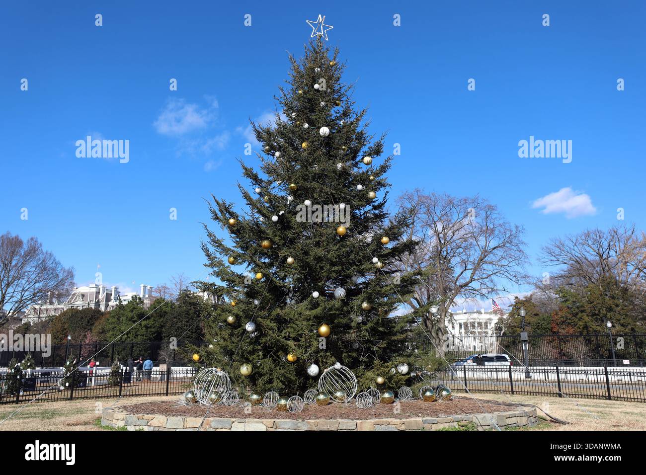 With the White House in the background, The National Christmas Tree is ...