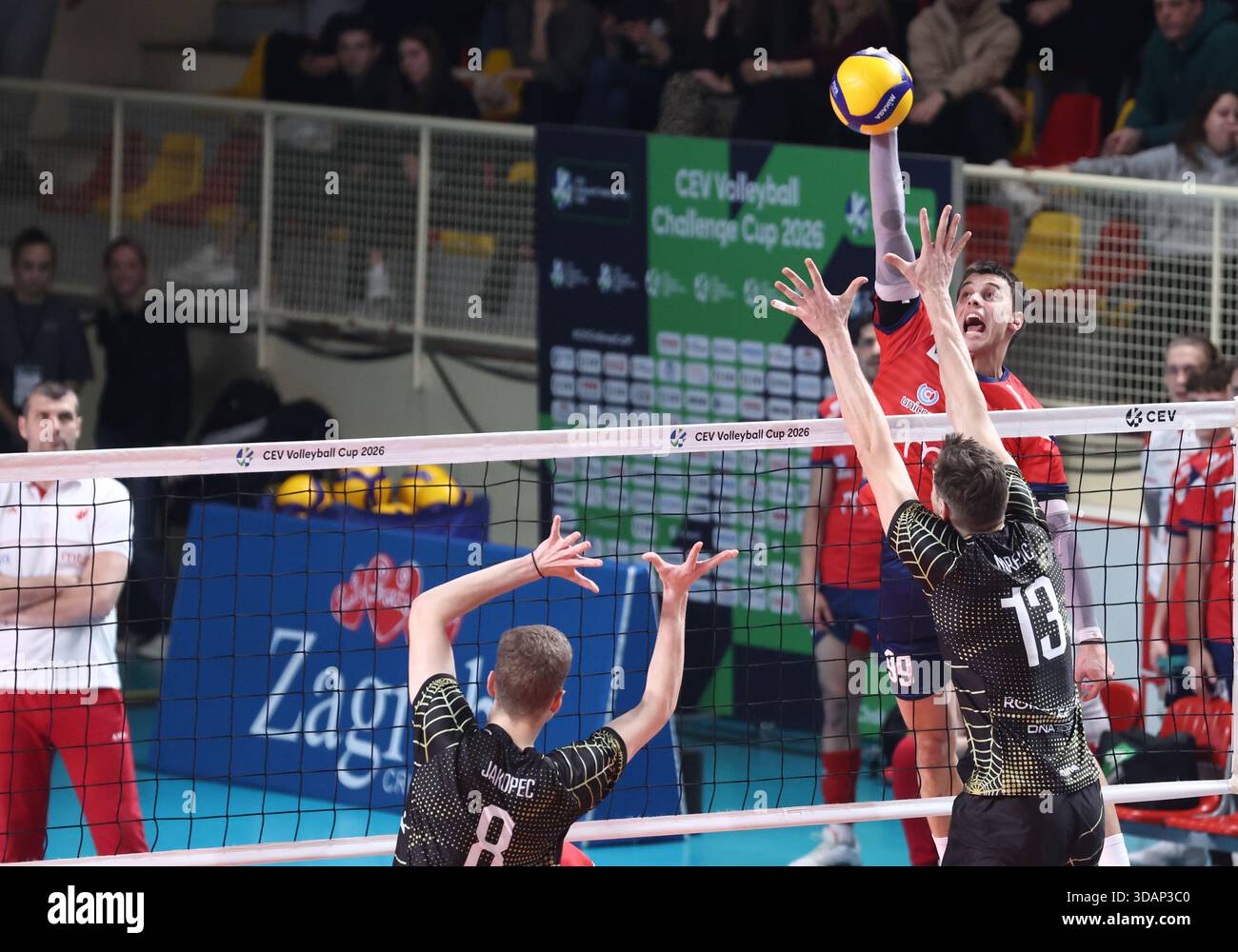 Marino Marelic of Mladost tries to block a shoot from Alija Bekric of ...