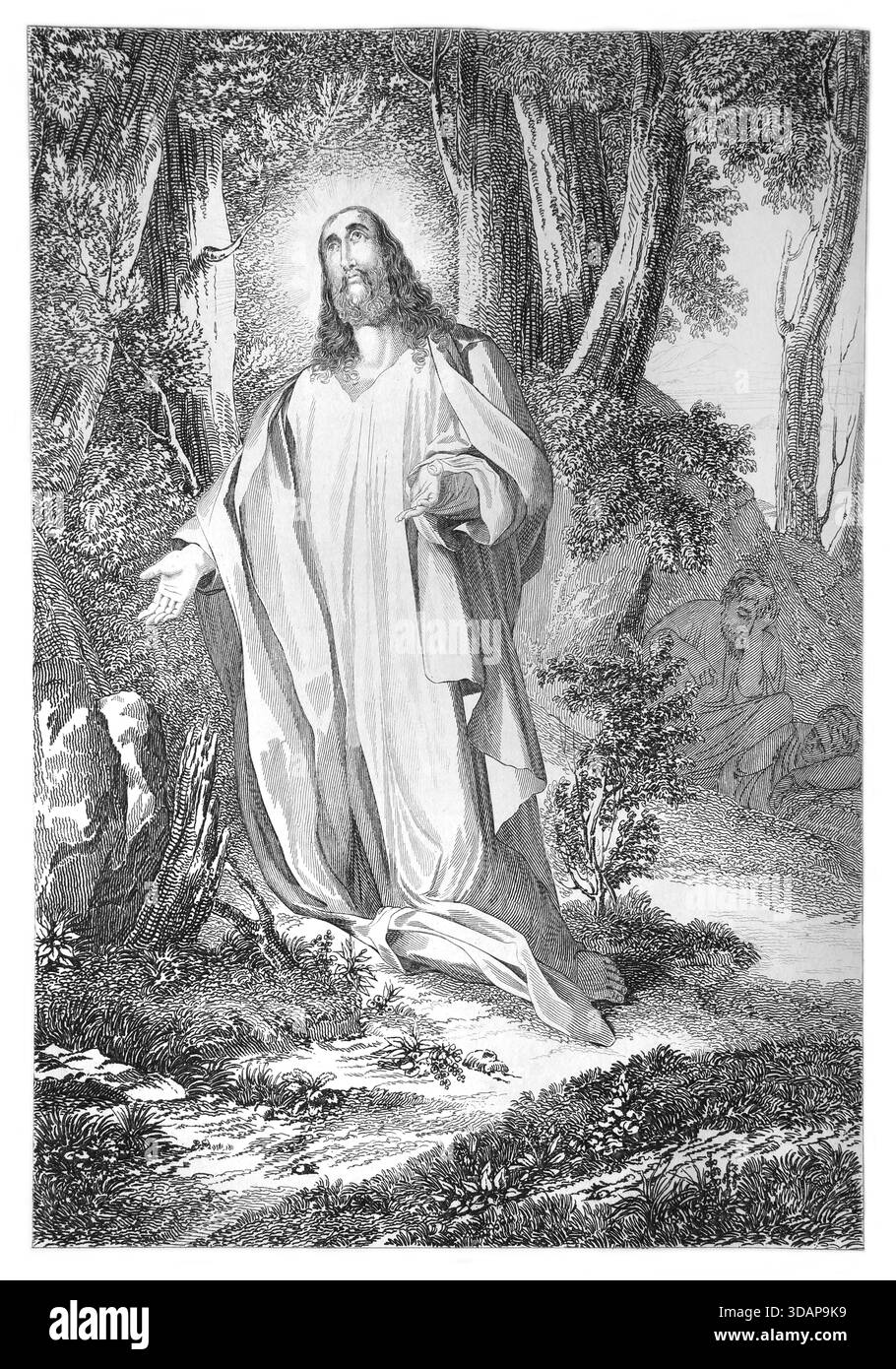 Illustration of Jesus Christ Praying in the Garden of Gethsemane (The ...