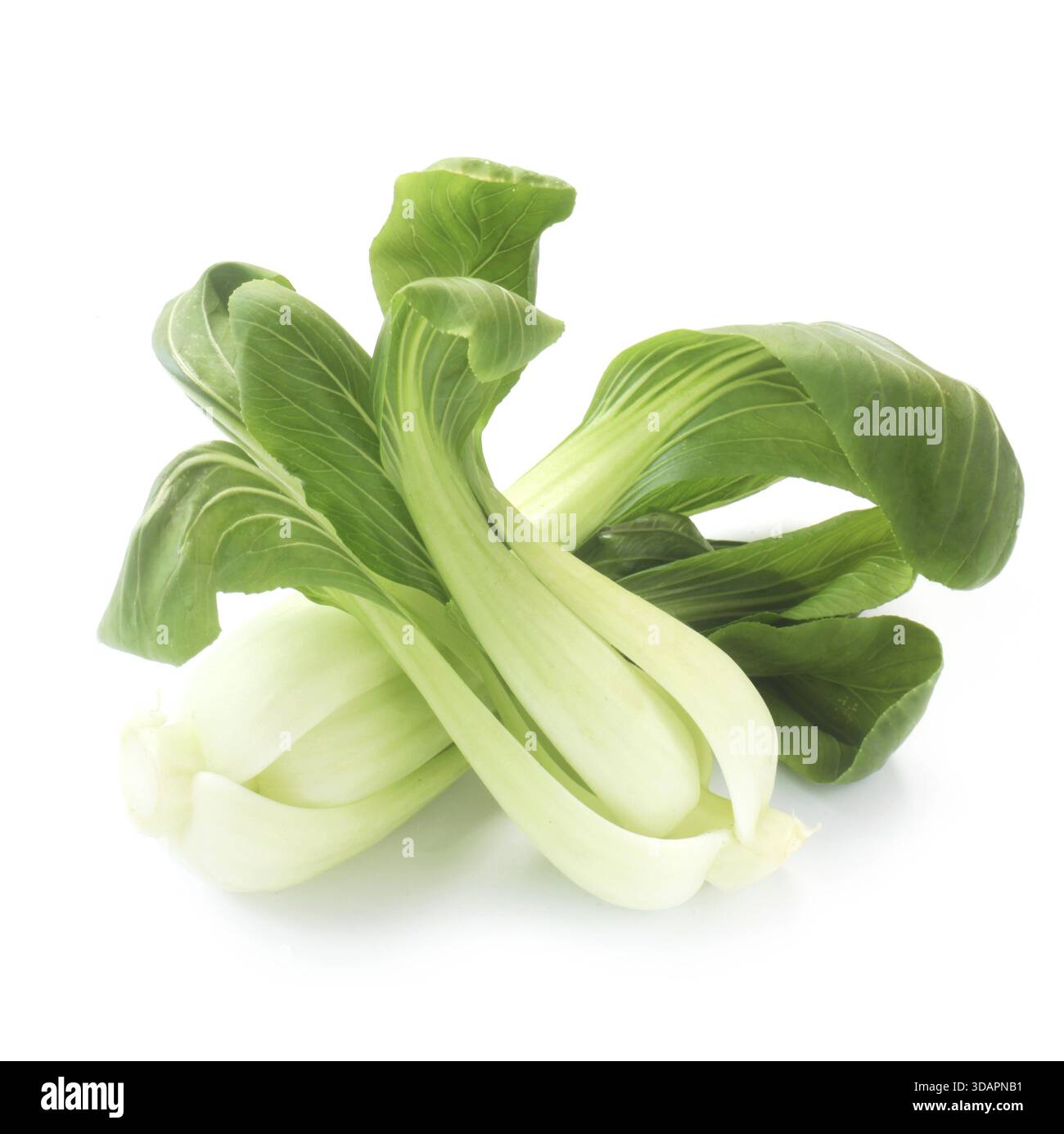 Food pak choi isolated hi-res stock photography and images - Alamy