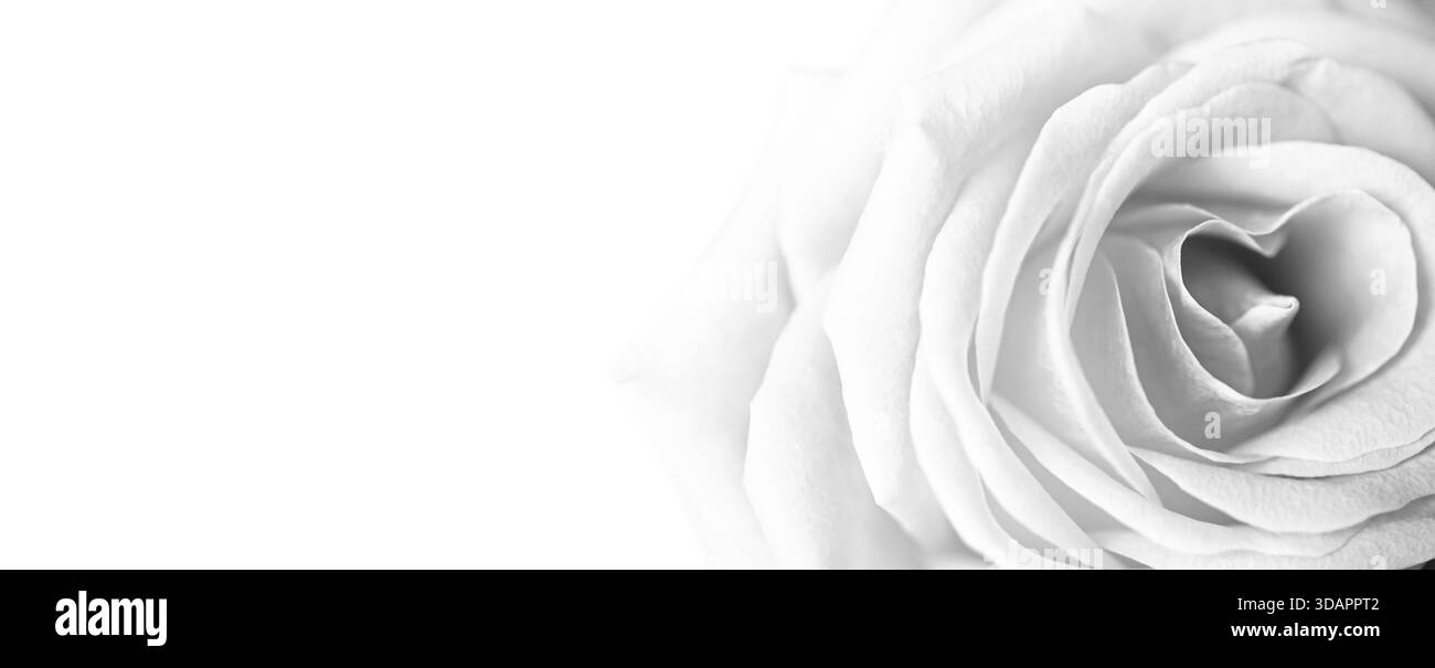 Botanical in nature Black and White Stock Photos & Images - Alamy