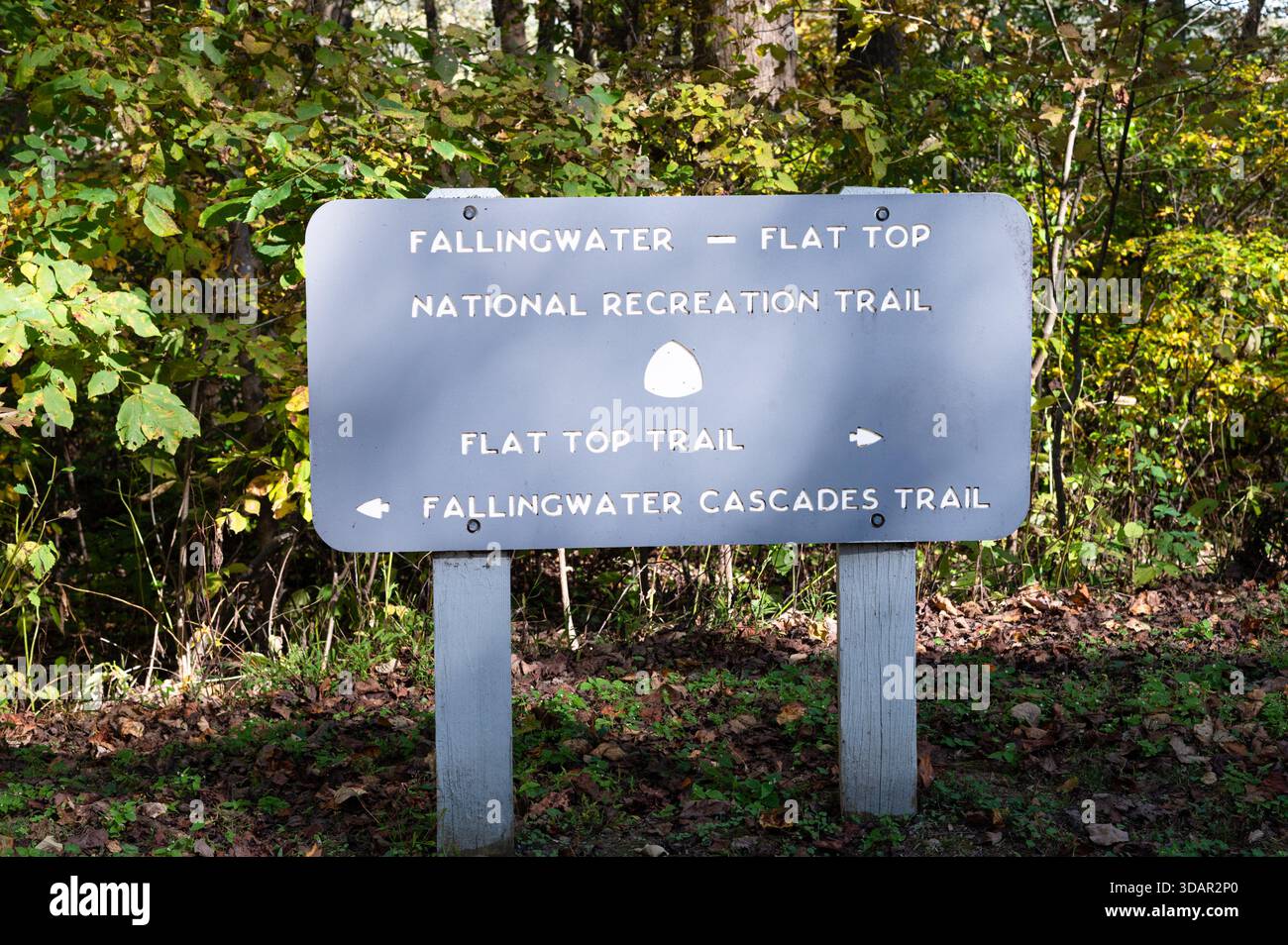 Fallingwater hi-res stock photography and images - Alamy