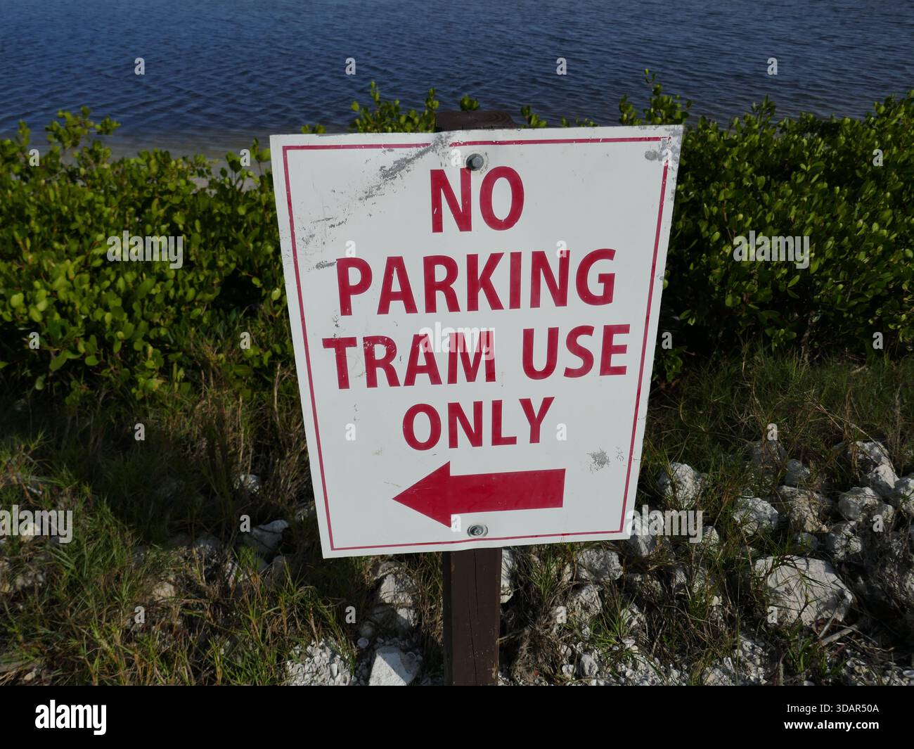 No parking tram use only sign beside tropical lake Stock Photo - Alamy