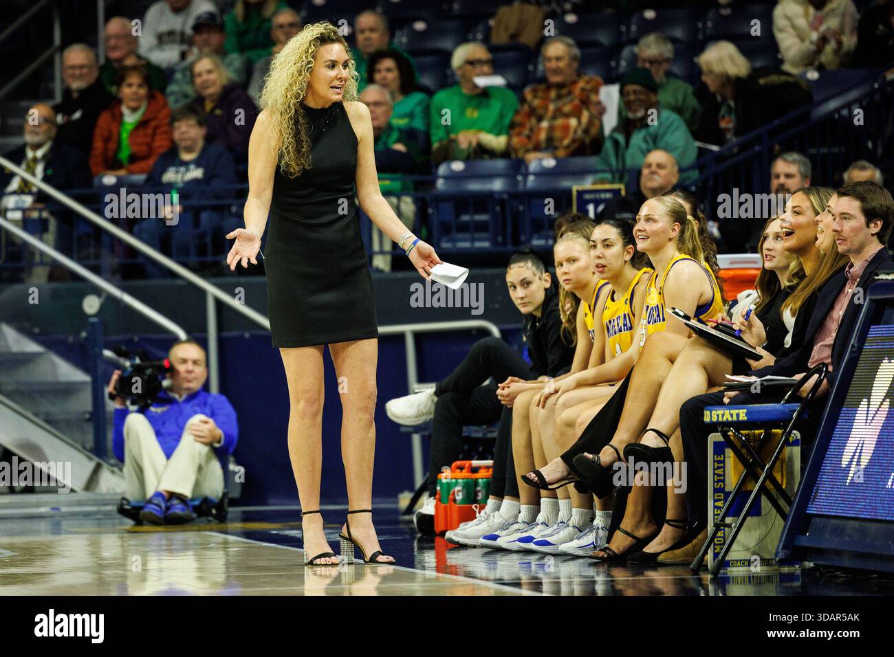 December 11, 2025: Morehead State head coach Ashton Feldhaus reacts ...
