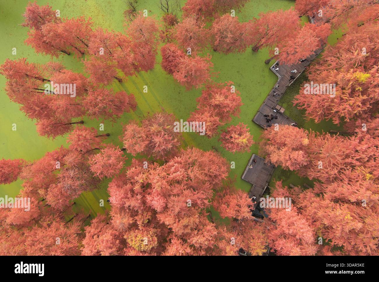 **CHINESE MAINLAND, HONG KONG, MACAU AND TAIWAN OUT** Aerial photo ...