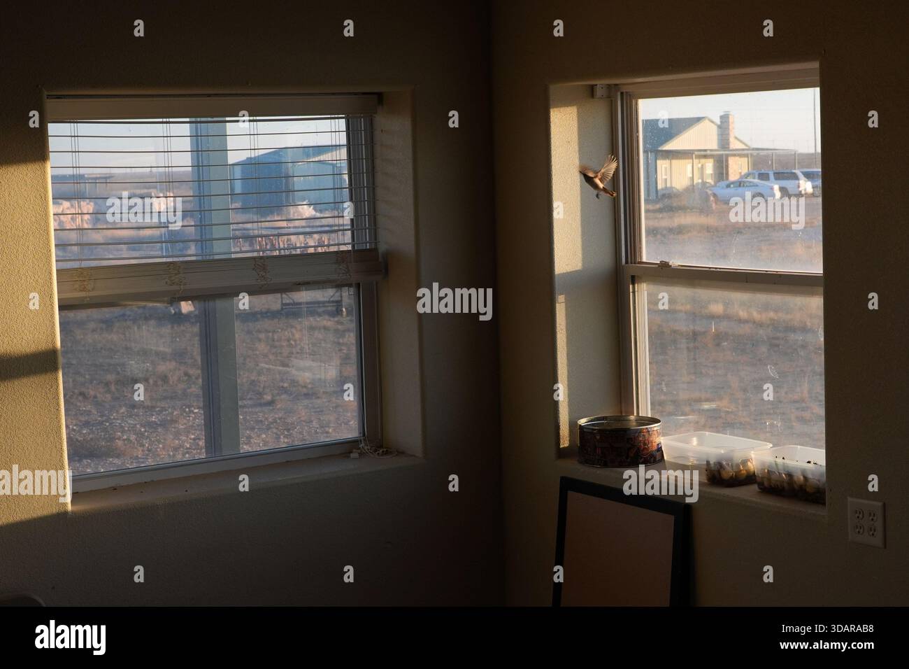 A bird flies from a window sill inside the Mayflower Church community ...