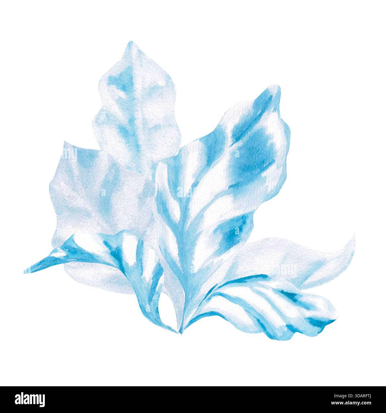 Bush reef Cut Out Stock Images & Pictures - Alamy