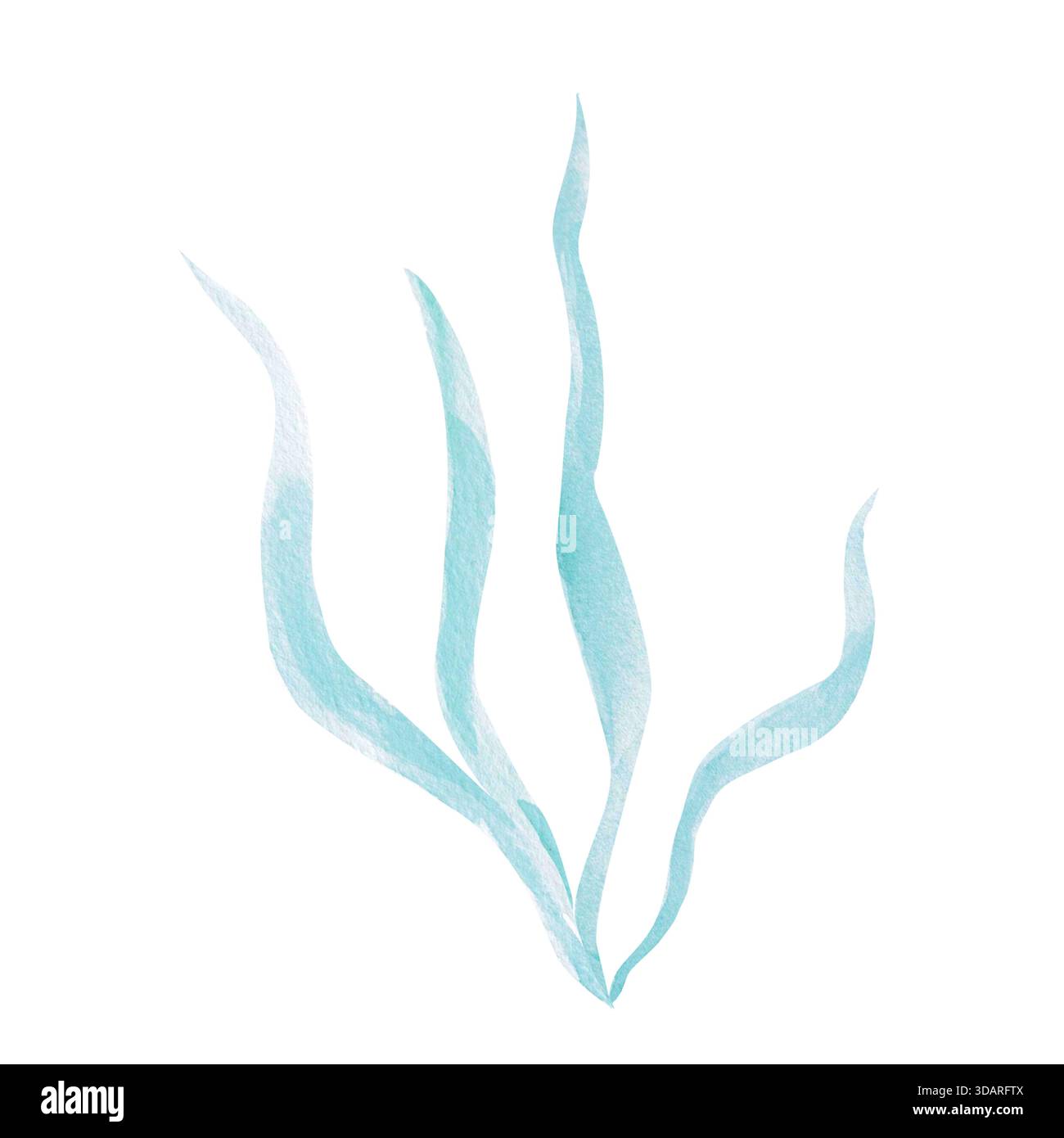 Bush reef Cut Out Stock Images & Pictures - Alamy