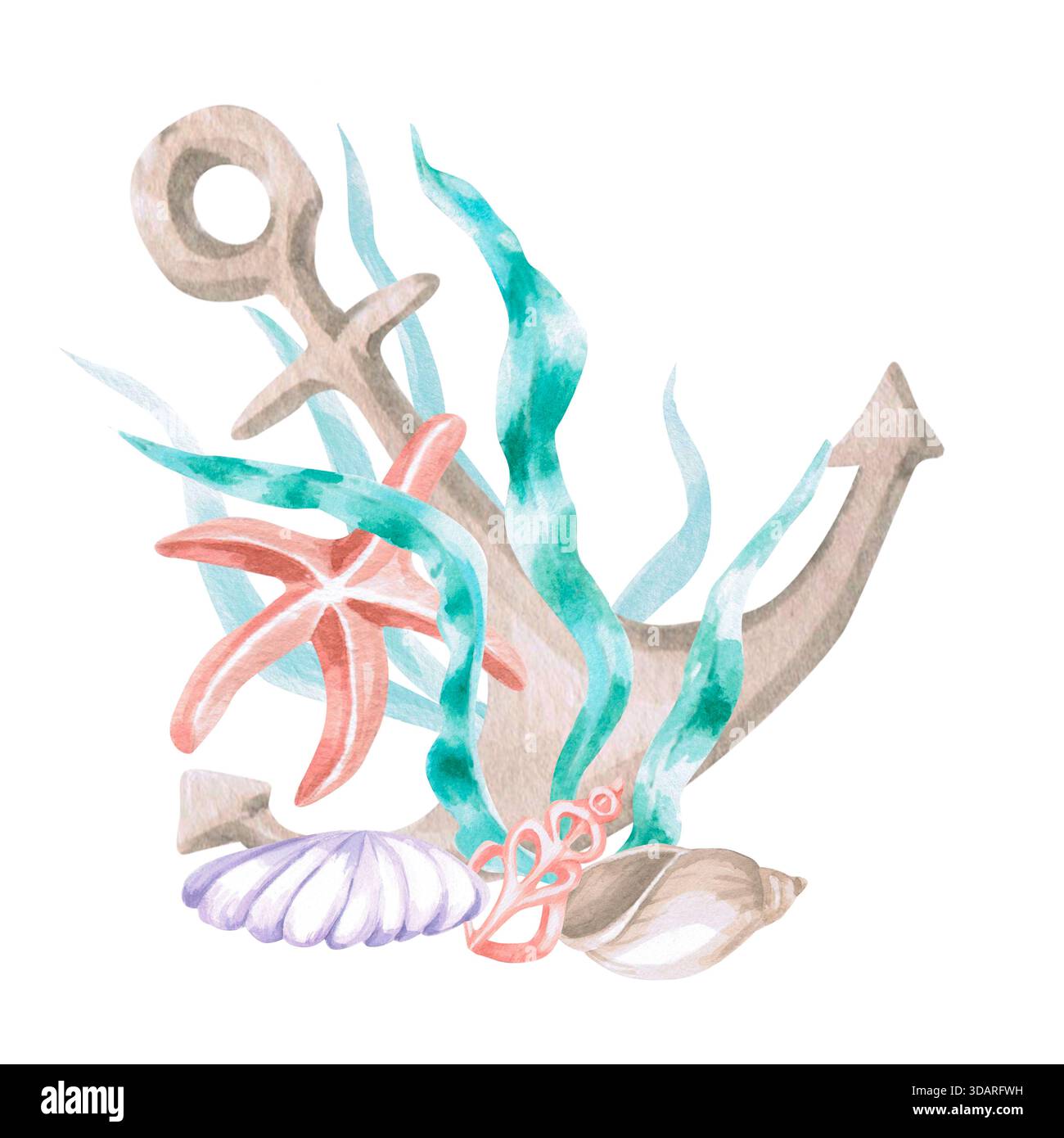 Anchor seaweed shell sea Cut Out Stock Images & Pictures - Alamy