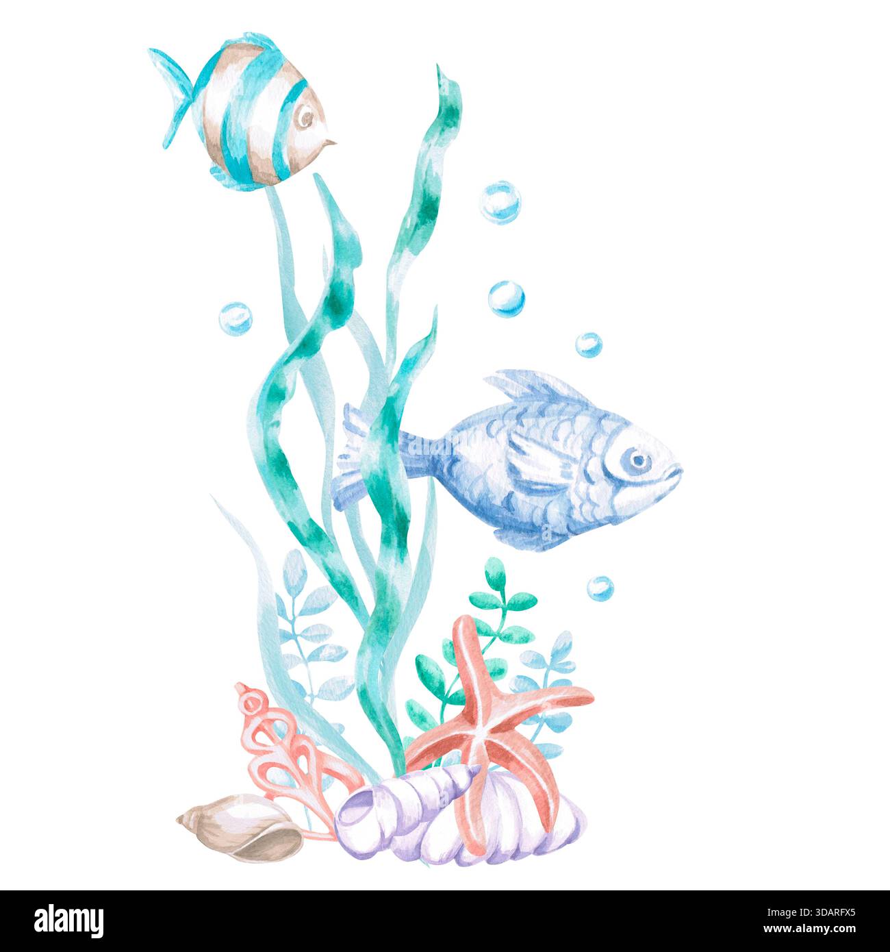 Fish in underwater kelp Cut Out Stock Images & Pictures - Alamy