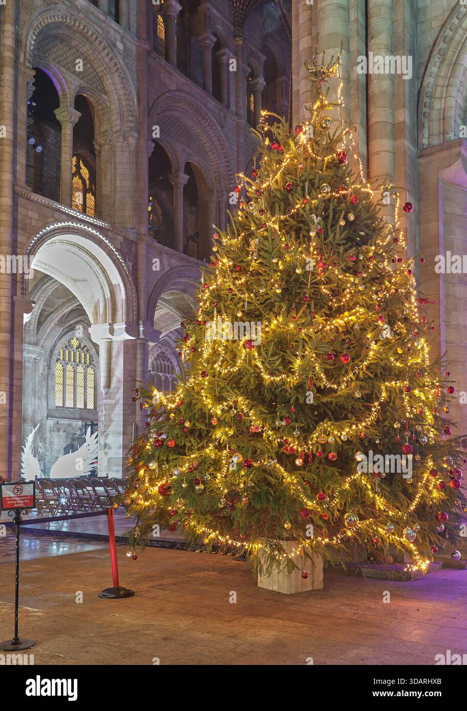 Decorated xmas tree for the christmas light show at Peterborough ...