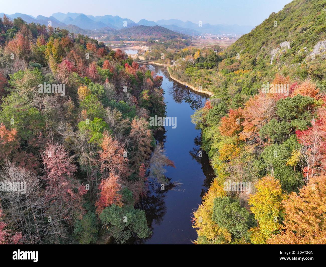 Aerial photo shows the colorful maple trees in Quanzhou County, Guilin ...