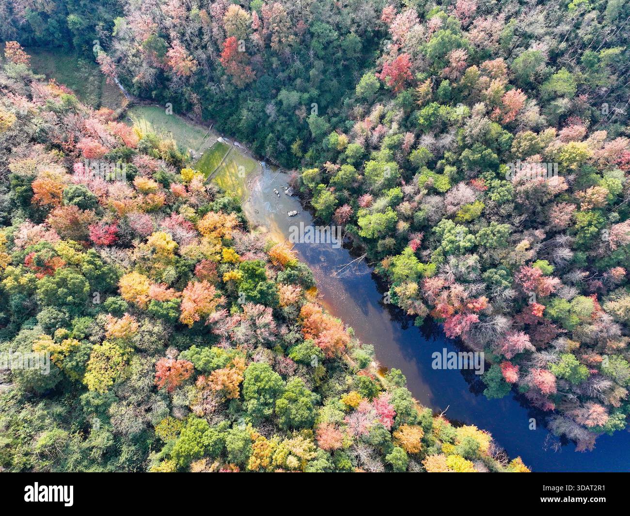 Aerial photo shows the colorful maple trees in Quanzhou County, Guilin ...