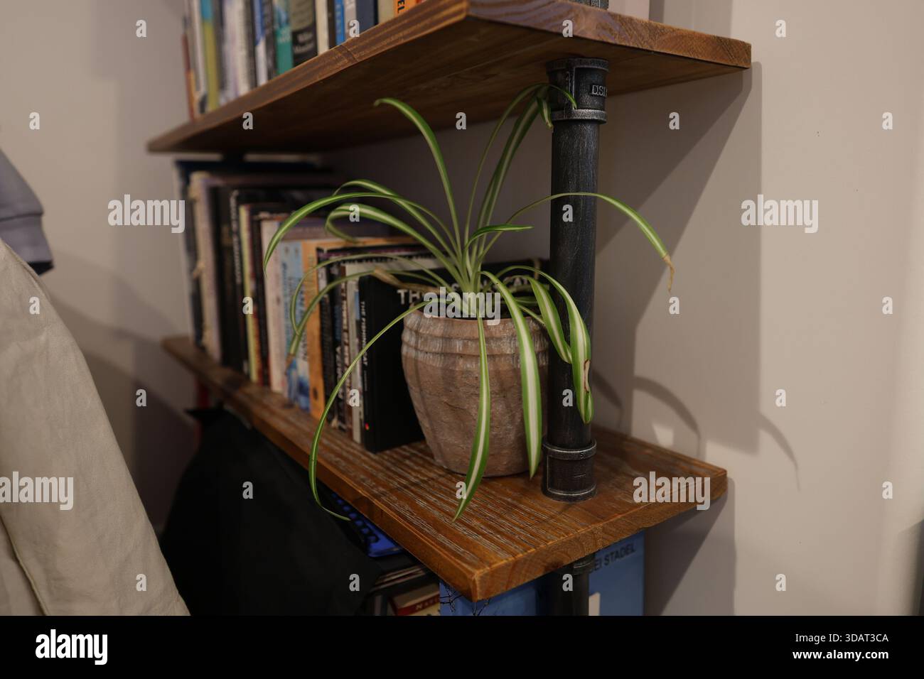 Bookshelf arrangement hi-res stock photography and images - Alamy