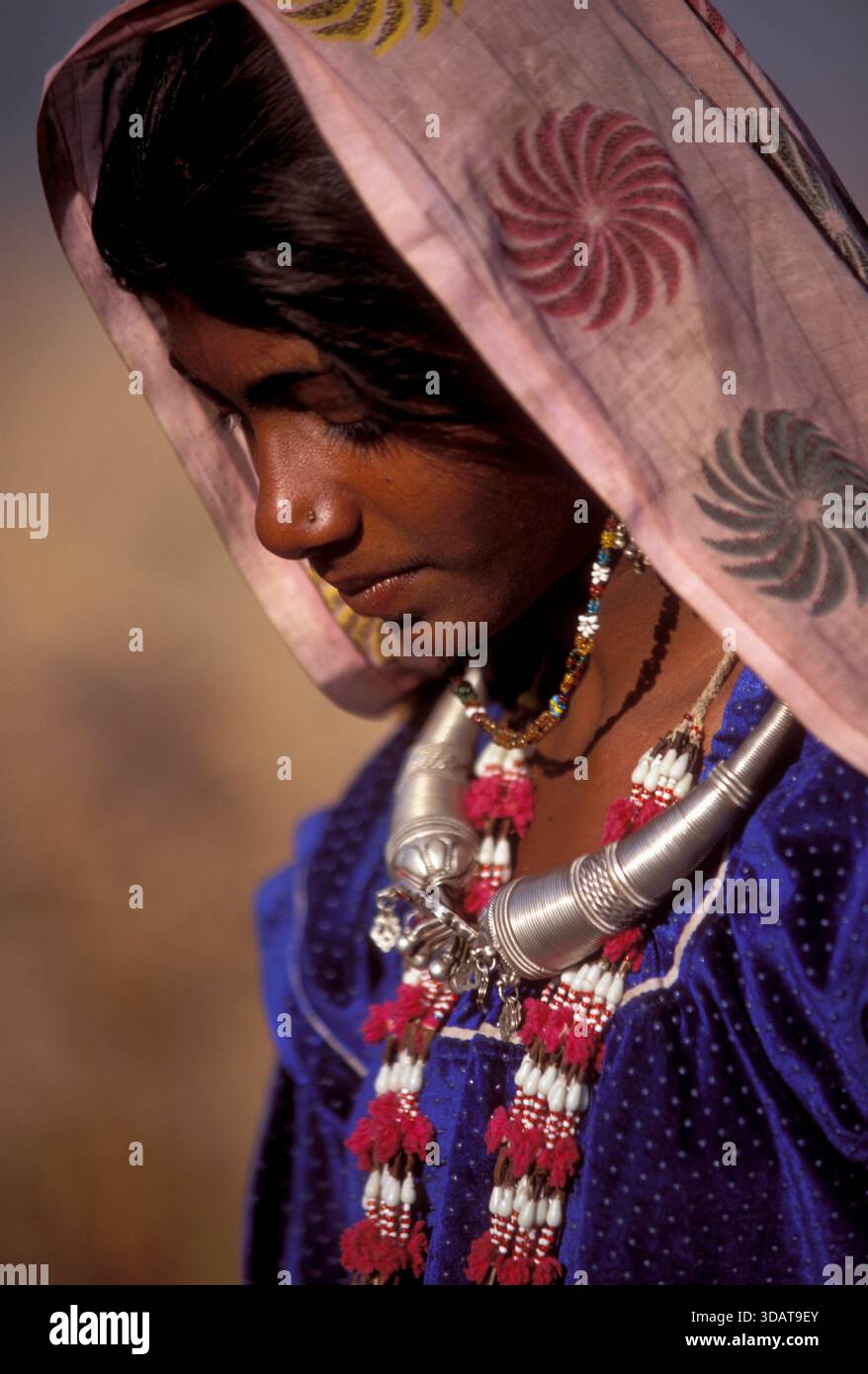 Young Kalbeliya Gypsy woman, Traditional Dancers and Snake Charmers ...