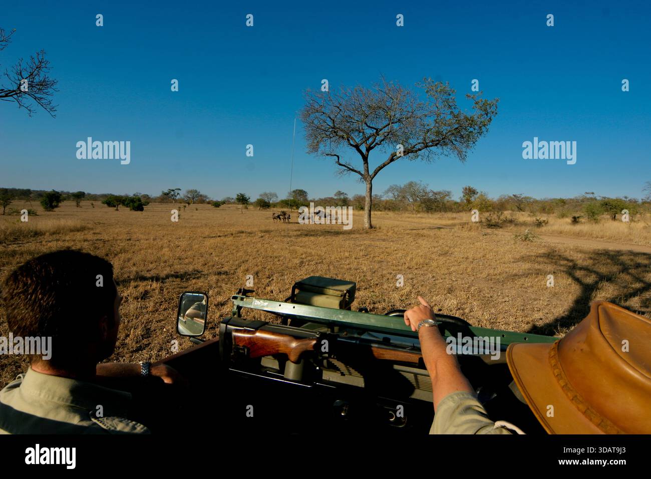 Two guides in South Africa driving through the bush Stock Photo - Alamy