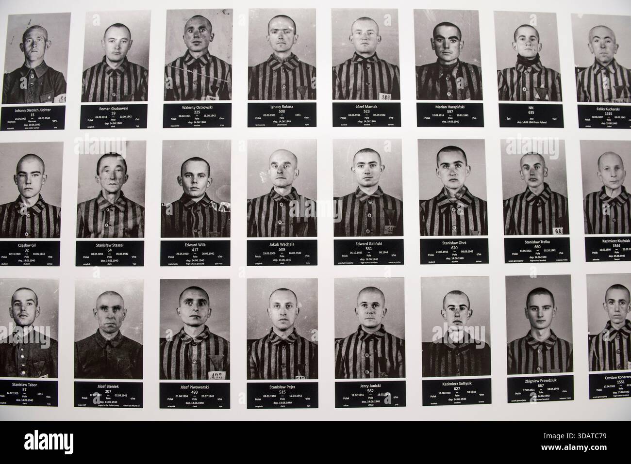 The images of prisoners from the first transports to the Auschwitz Nazi ...