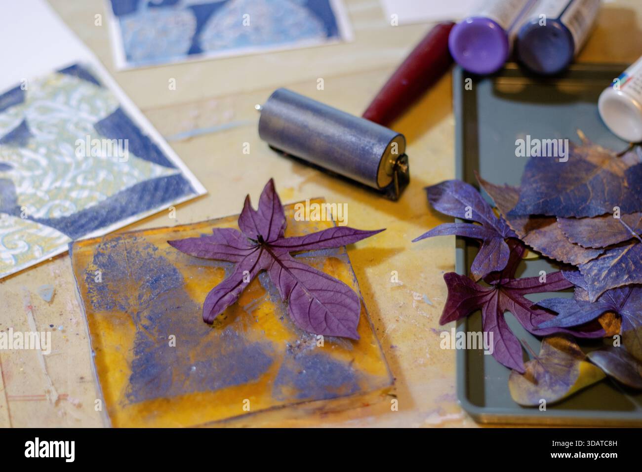 Botanical print in progress with brayer, paints, and fresh leave Stock ...