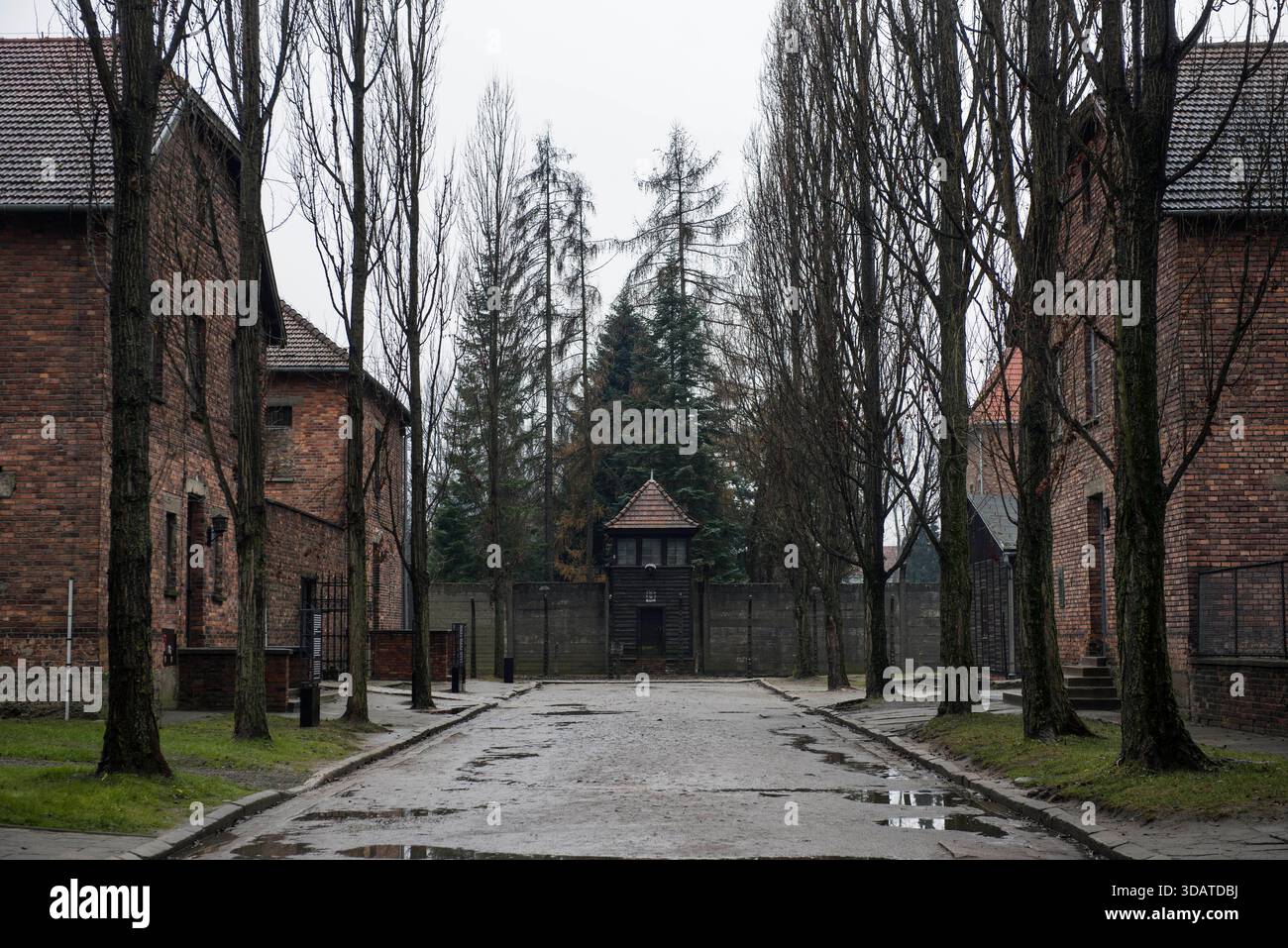 The barracks of prisoners and guard towers seen at the German Nazi ...